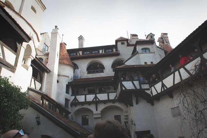 Legends&Wildlife Awaits: Dracula's Castle & Bear Sanctuary - The Sum Up