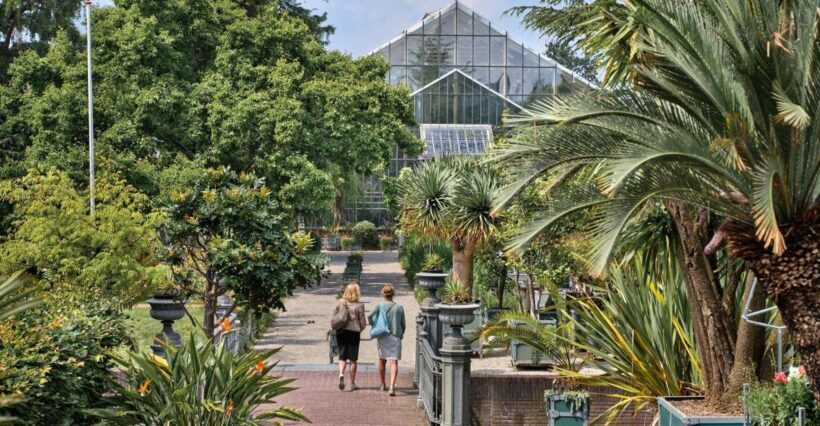 Leiden: Hortus Botanicus Entry Ticket - Why Visit the Hortus Botanicus Leiden?