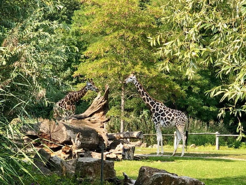 Leipzig: Segway Tour - Explore City, Zoo & a Stunning View - Authentic Experiences and Customer Feedback