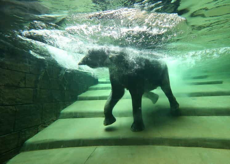 Leipzig Zoo: Entry Ticket - A Walkthrough of Leipzig Zoo