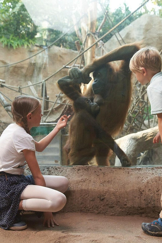 Leipzig Zoo: Entry Ticket - The Sum Up