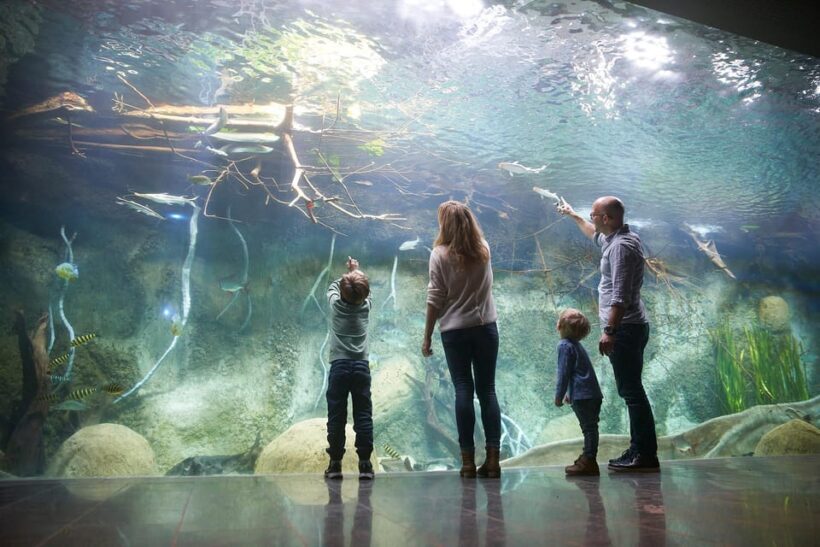 Leipzig Zoo: Entry Ticket - FAQs