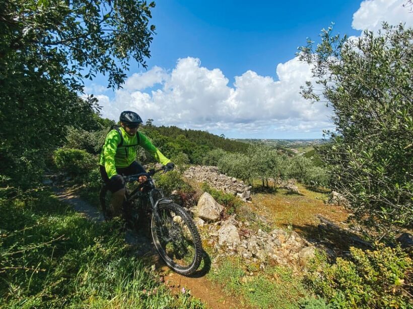 Leiria E-bike and Castel tour - A Promising Introduction to Leiria