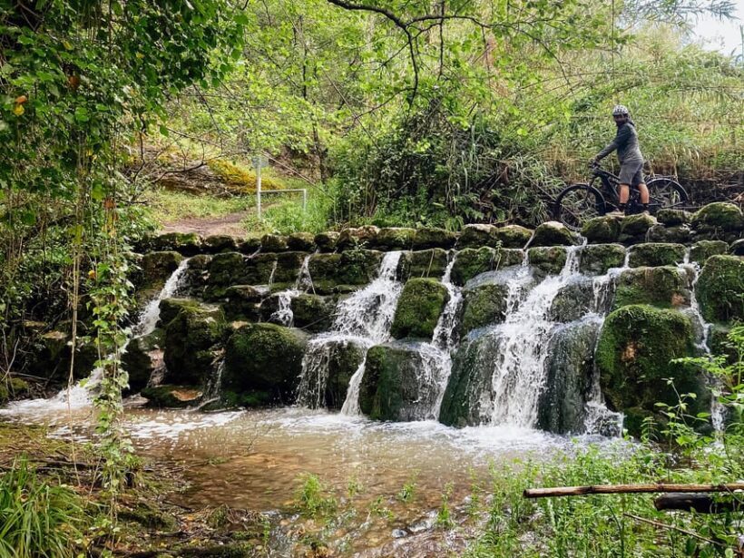 Leiria E-bike and Castel tour - The Experience: What You’ll Enjoy