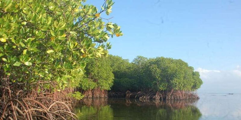 Lembongan : Fully enjoy! Snorkeling, Sightseeing /1day tour - Key Points