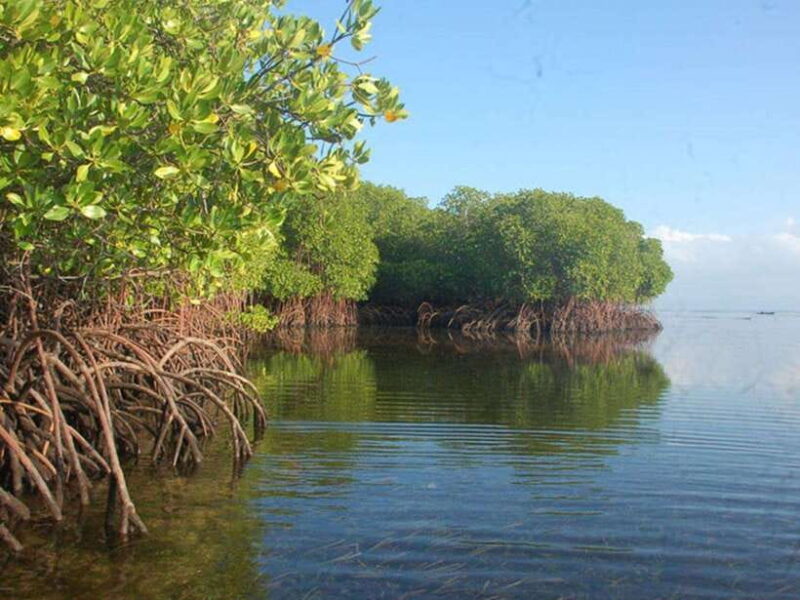 Lembongan Island: Enjoy snorkeling.See a manta ray?/Day trip - Frequently Asked Questions