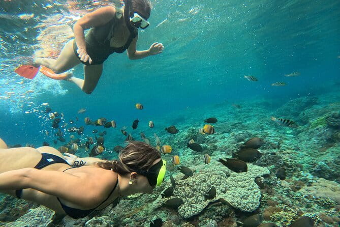 Lembongan Snorkeling at Manta Point Crystal Bay and Mangrove - The Experience: What Travelers Are Saying