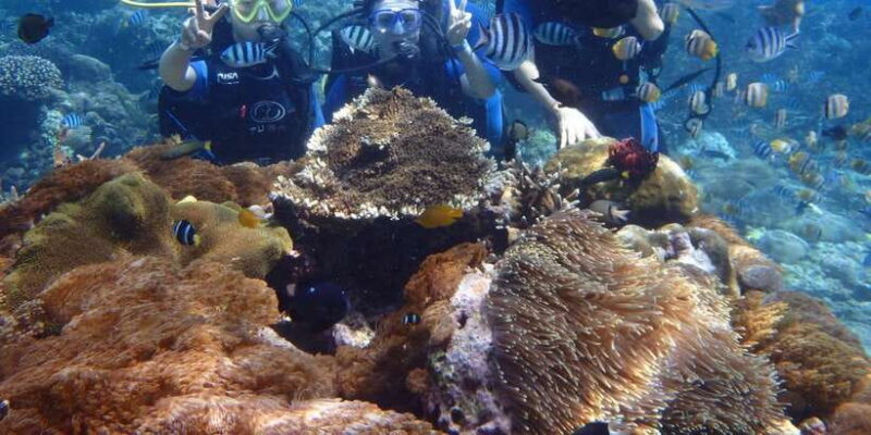 LEMBONGAN:SNORKELING 3 POINT AREA (MANTA,CRISTAL,MANGROVE) - Who Should Consider This Tour?