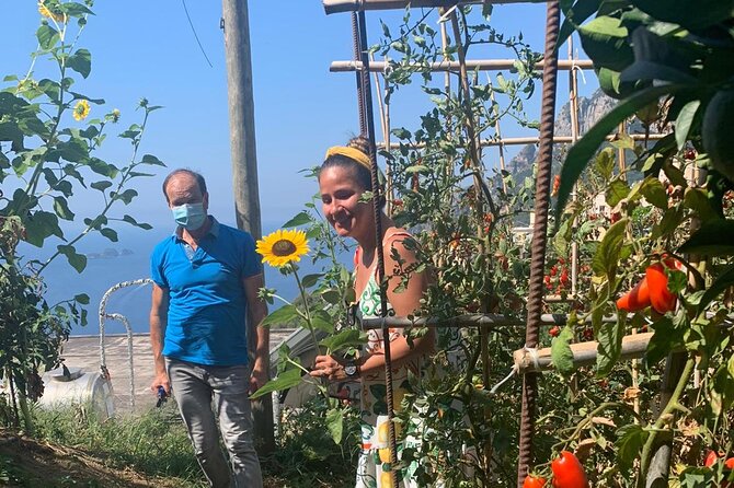 Lemon & sea food cooking class at local's home - Who Should Book This Tour?
