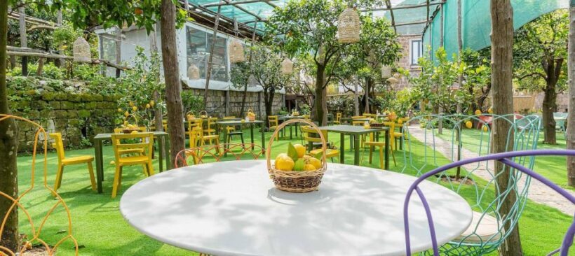 Lemon Tour with Lunch/Dinner - Who Should Consider This Tour?