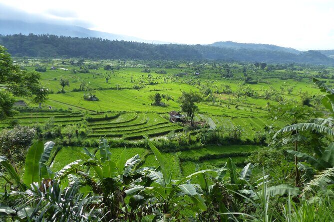 Lempuyang Gate of Heaven Tour - Who This Tour Is Perfect For