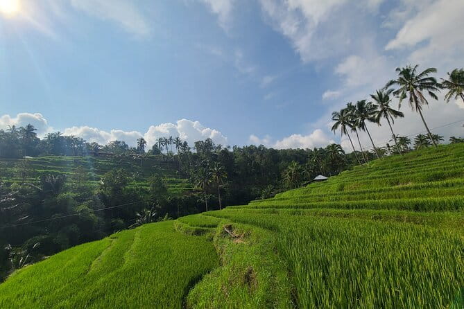 Lemukih Hidden Trekking Waterslide Sekumpul and Fiji Waterfall - Who Will Love This Tour?