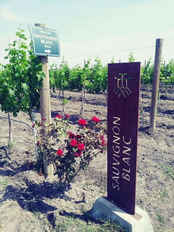 Leon: Dolores Hidalgo Viñedo Tres Raíces Wine Tour - Final Thoughts on the Value and Experience