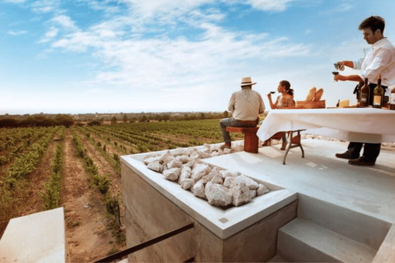 León: Wine Tasting & Vineyard Tour at Viñedo Jalpense - A Closer Look at the Vineyard Experience