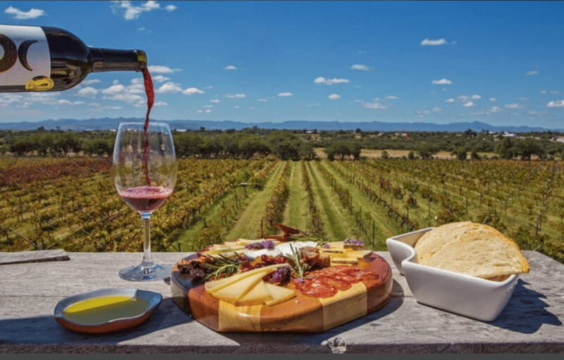León: Wine Tasting & Vineyard Tour at Viñedo Jalpense - Practical Tips for Your Visit