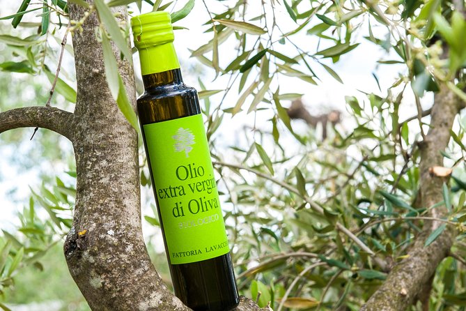Leonardo Da Vinci's wind mill visit and Organic olive oil tasting - Final Thoughts: Why This Tour Is a Good Choice