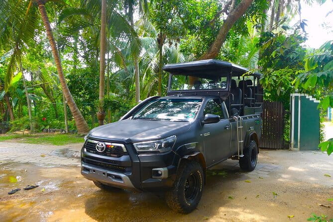 Leopard Half Day Yala National Park Eleven Safari - Practical Tips for Your Safari