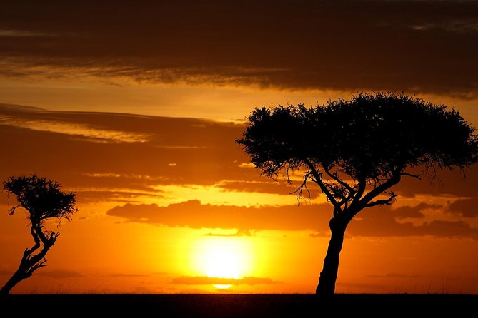 Leopard Safari Tour in Yala National Park - FAQs