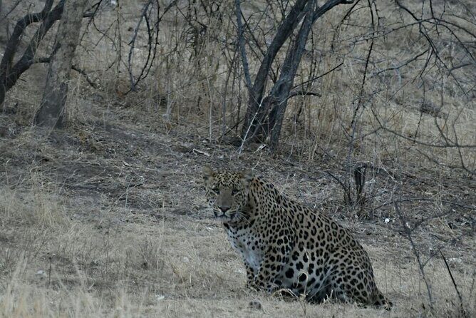Leopard Wildlife Safari at Amagarh Park Including Transfers - FAQ