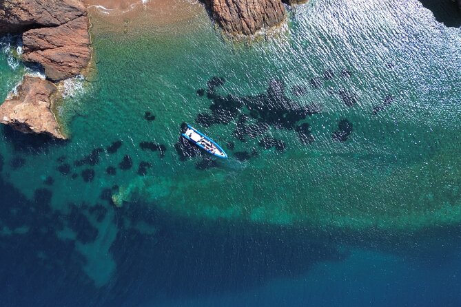 Lerins Islands Boat Excursion From Nice - Analyzing the Value