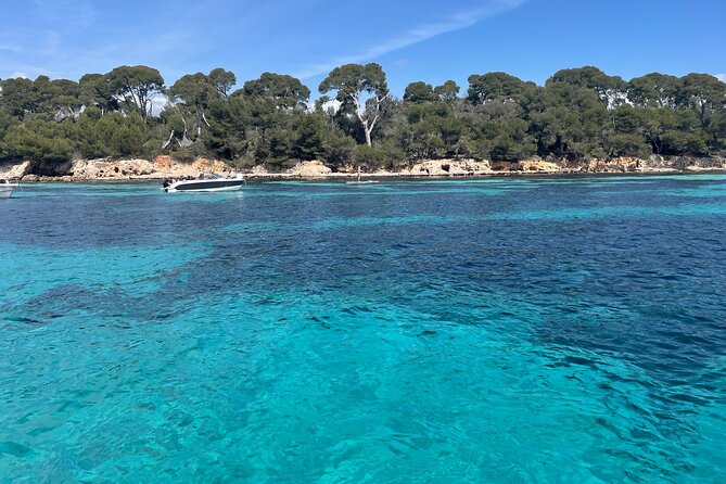 Lérins Islands Private Boat Tour Review - Memorable Family Experiences