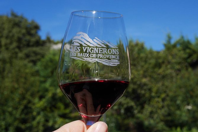 Les Baux de Provence : Wine day Tour : 7 hours - Practical Considerations: Transportation, Timing, and Group Size
