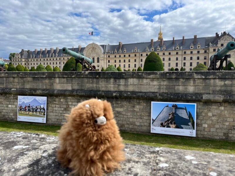 Les Invalides: Museum Ticket Entry & 4h Private Guided Tour - Who Should Consider This Tour?
