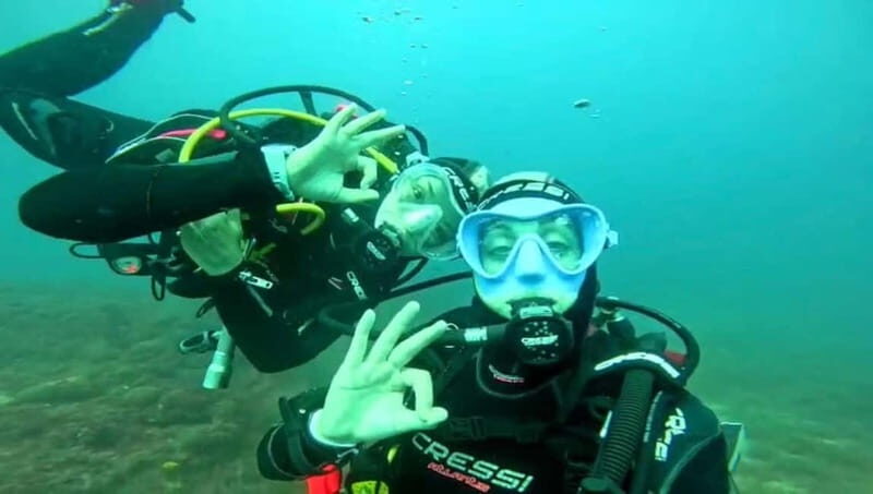 L'Escala: Try diving in the Montgri nature reserve - A Closer Look at the Experience