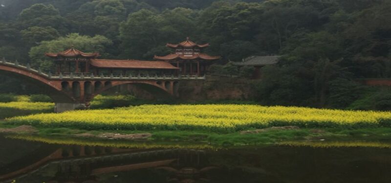 Leshan Buddha, Tea House&Mt. Emei 2 Days Private tour - Authentic Experiences That Shine