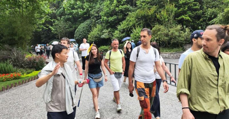 Leshan Grand Buddha Scenic Area and Panda Park Day Tour - Key Points