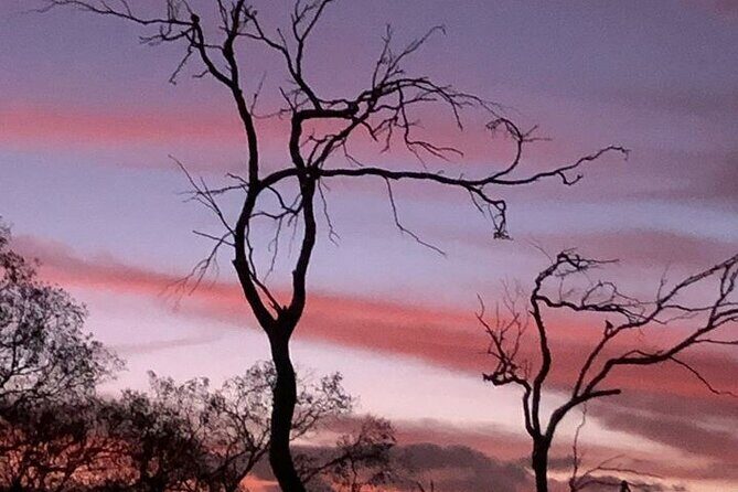 Lesmurdie Falls Sunset & Sparkling Hike - Value and Practicality