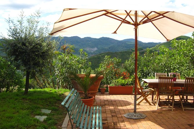 Lesson With a Chef of Traditional Bolognese Cuisine - Uncovering the Secrets of Traditional Desserts