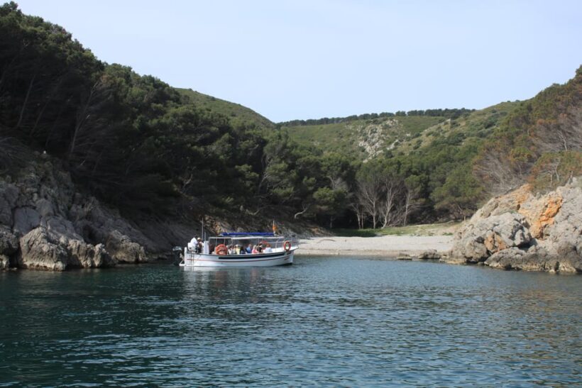L'Estartit: Boat Trip to the Medes Islands and the NP Caves - The Experience: A Closer Look at the Journey
