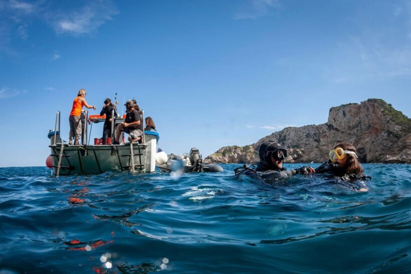 L'Estartit: Dive and Snorkeling in Montgrí Natural Park - Key Points