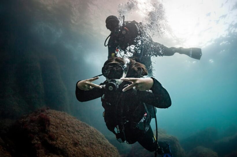 L'Estartit: Dive and Snorkeling in Montgrí Natural Park - An Authentic and Practical Marine Adventure
