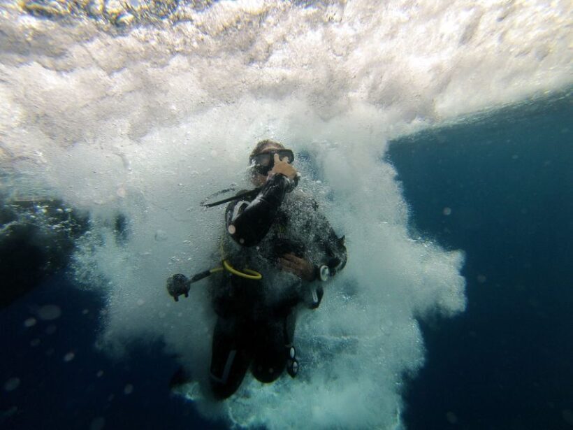 L'Estartit: Dive and Snorkeling in Montgrí Natural Park - Who Will Love This Experience?