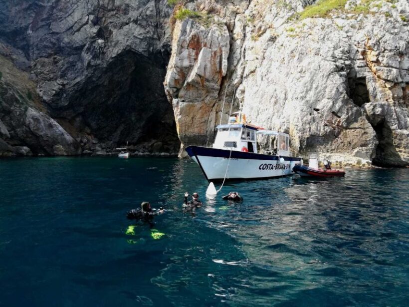 L'Estartit: Dive and Snorkeling in Montgrí Natural Park - Final Thoughts