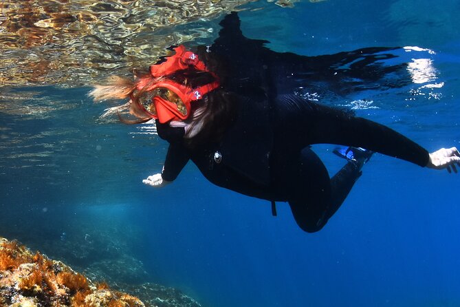 L'Estartit: Snorkeling in the Medes Islands - Exploring the Snorkeling Tour in Detail