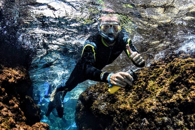 L'Estartit: Snorkeling in the Medes Islands - Who Will Enjoy This Experience?