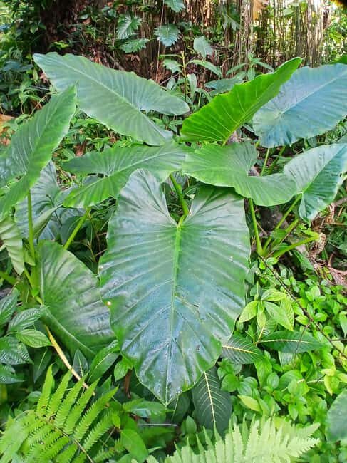 Lethe Mountain Valley Hiking - Why Choose Lethe Mountain Valley Hiking?