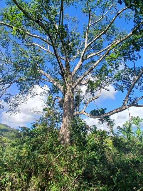 Lethe Mountain Valley Hiking - FAQs