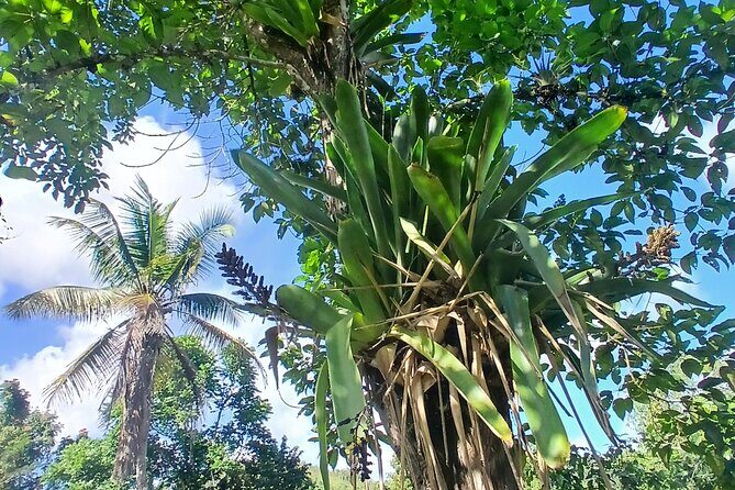 Lethe Mountain Valley Hiking - What is Lethe Mountain Valley Hiking All About?