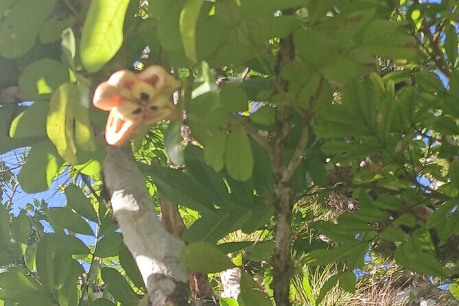 Lethe Mountain Valley Hiking - What Travelers Say