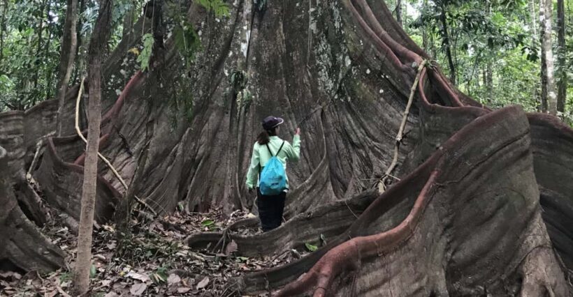 Leticia: Amazing Three Day Jungle Tours - Wildlife and Nature Highlights