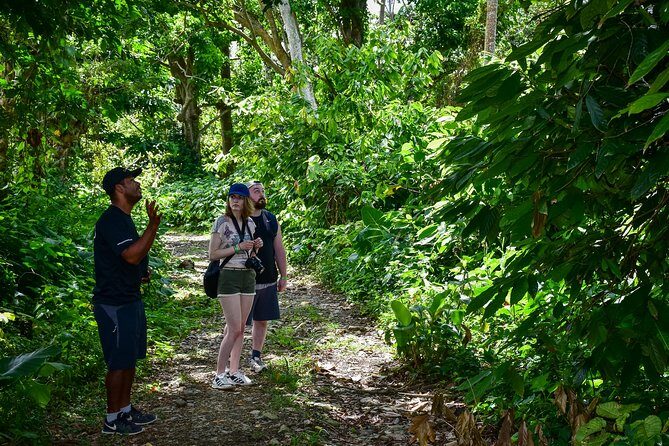 Let's do hiking in Punta Cana - The Experience from a Traveler’s Perspective