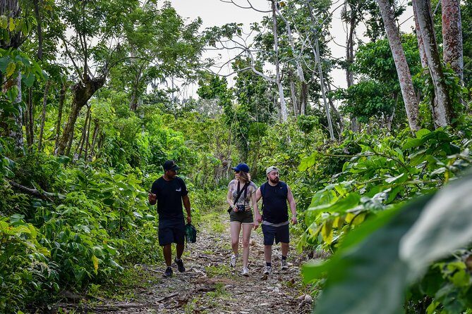 Let's do hiking in Punta Cana - Why You Should Consider This Tour
