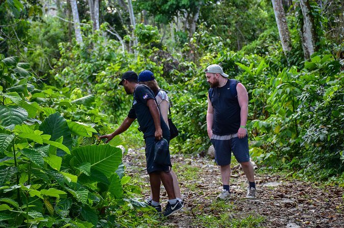 Let's do hiking in Punta Cana - Final Thoughts: Is This Tour for You?