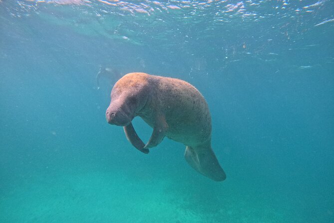 Lets Snorkel Hol Chan the Best Marine Reserve in Belize - Refueling With Delicious Local Cuisine