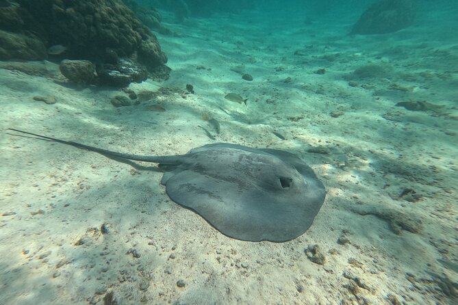 Lets Snorkel Hol Chan the Best Marine Reserve in Belize - Practical Tips for a Seamless Snorkeling Experience
