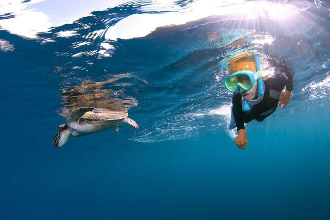 Let's swim with sea turtles in Yakushima!Snorkeling Tour - A Deep Dive into Yakushima’s Sea Turtle Snorkeling Tour